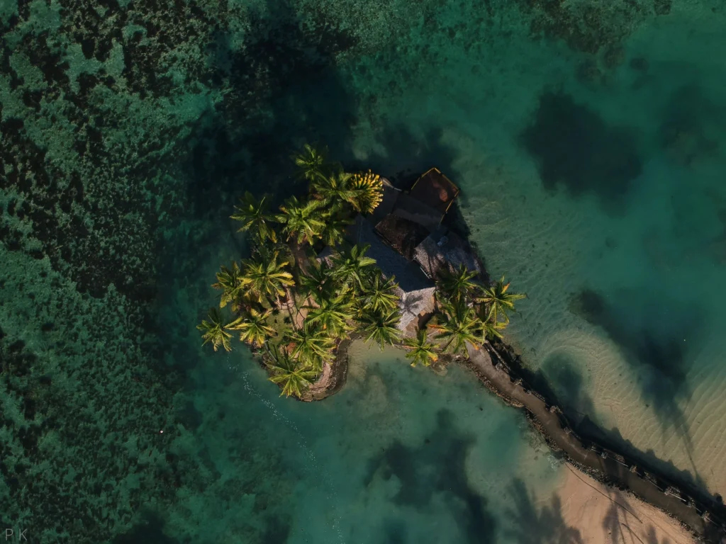 Fiji - L'Artisan by MTGlobal
